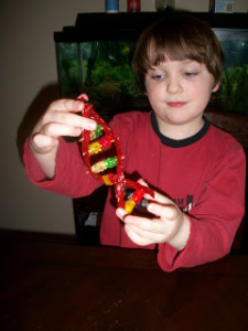 Making a DNA model out of candy – Eclectic Homeschooling