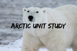 Arctic Unit Study – Eclectic Homeschooling